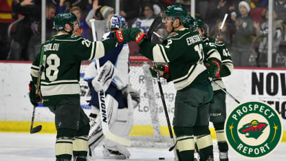 Prospect Report: January 3, 2019 | Minnesota Wild