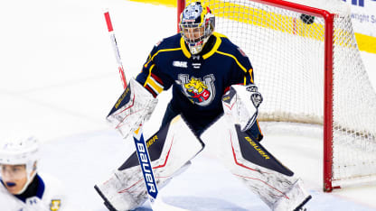 Color of Hockey: Jaswal hopes to hear name called at 2026 NHL Draft ...