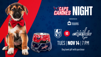 Capitals to Host Caps Canines Night Pawsented by PEDIGREE Foundation ...