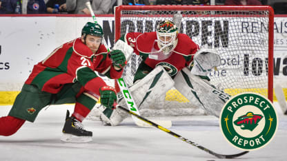 Prospect Report: January 30, 2019 | Minnesota Wild