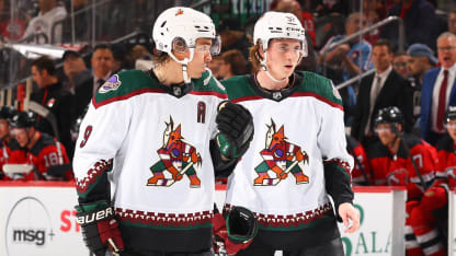 Coyotes hockey store