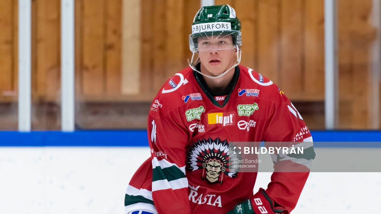 CMJ : Raymond et Holtz seront au camp de la Suède | LNH.com