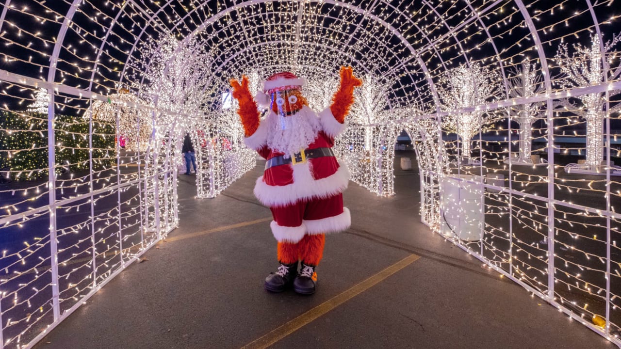 Gritty's Christmas playlists are unbridled holiday magic | NHL.com