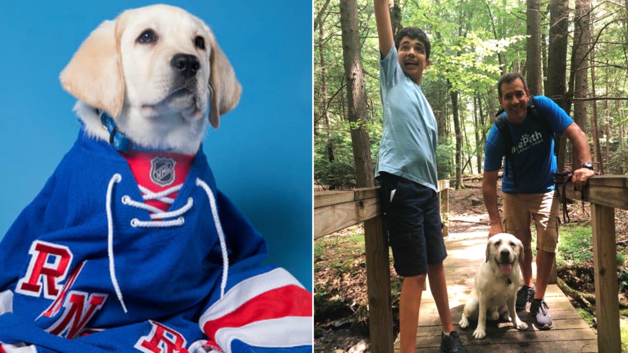 NHL's first service puppy, Ranger, finds new home with teen with autism ...