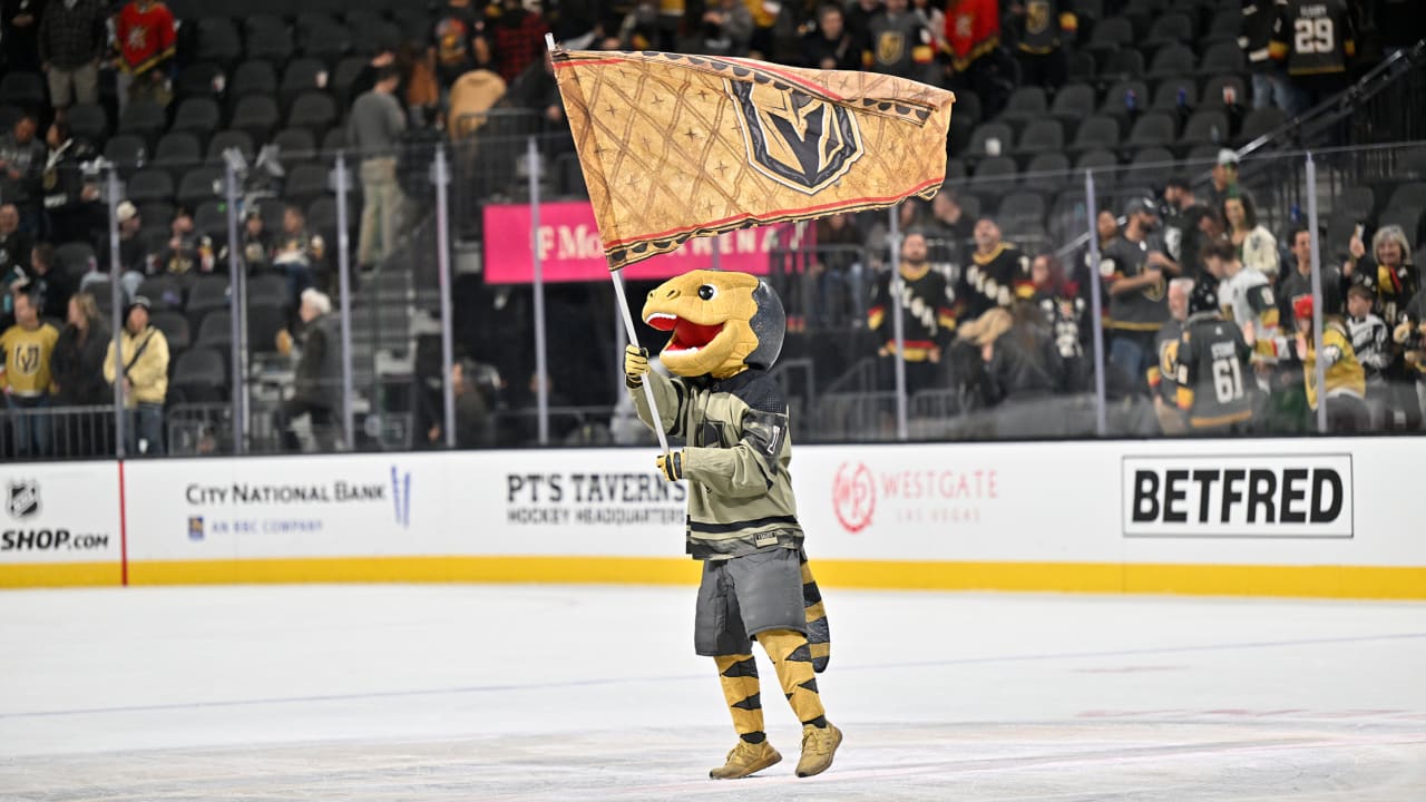 Vegas Golden Knights Announce Plans for Military Appreciation Knight on ...