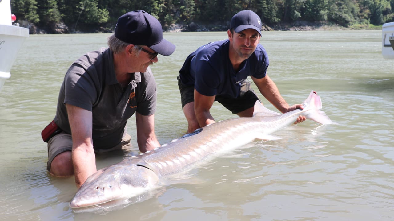Summer Series: Ladd Casting Lines for Charity | New York Islanders