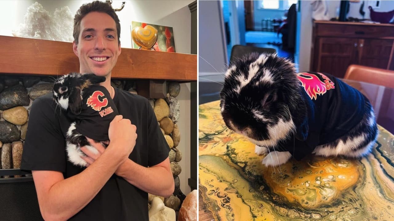 Cooley posts cute photo with pet rabbit after signing with Flames | NHL.com