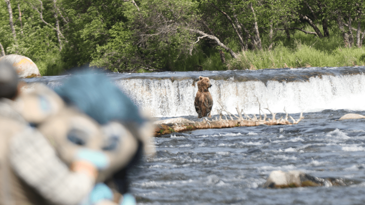 Brown Out: Buoy & Hayden’s Bear Adventure | Seattle Kraken