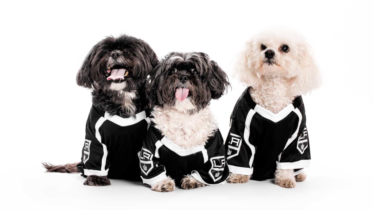 Bark Bios: A New Look at the Kings Dogs and More | Los Angeles Kings