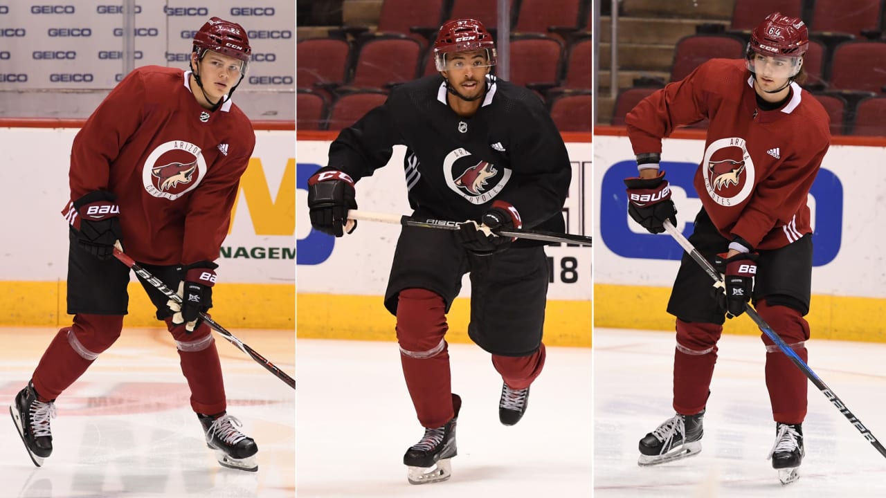 Coyotes Rookie Camp Begins Sept. 7 at Scottsdale Ice Den | NHL.com