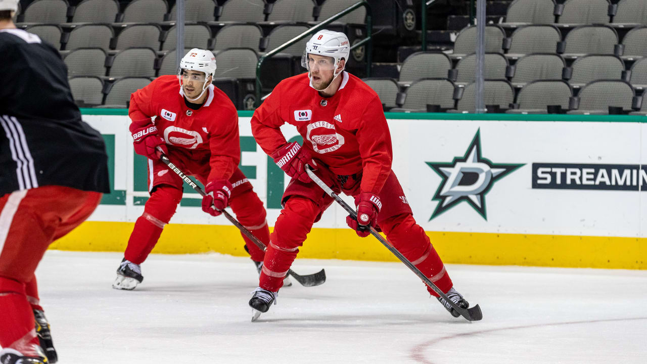 Notes: Wings switch some lines and defense pairs in practice | Detroit ...