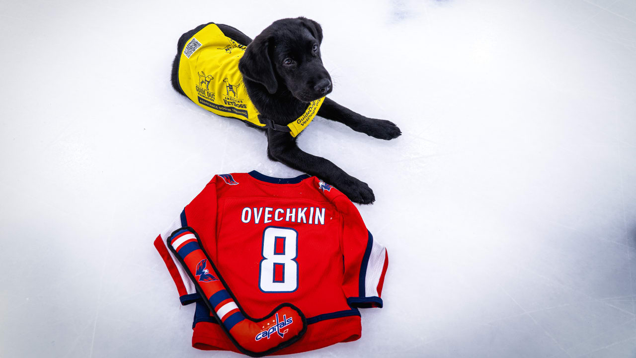 America’s VetDogs Names Future Service Dog “Ovi” in Honor of NHL Legend ...
