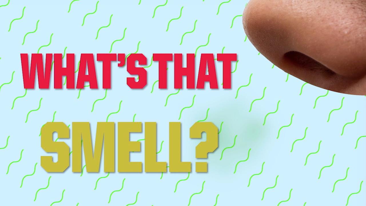 What's That Smell: Maple Syrup | Carolina Hurricanes