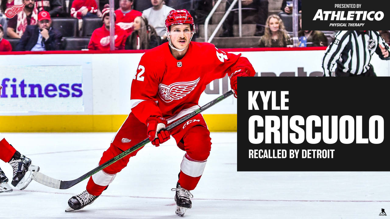 Red Wings recall center Kyle Criscuolo | Detroit Red Wings