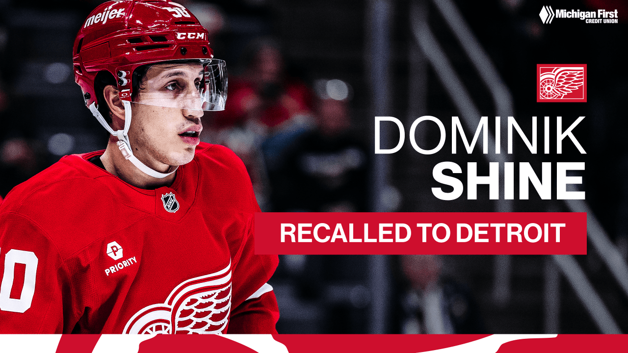 Red Wings recall Dominik Shine from Grand Rapids | Detroit Red Wings