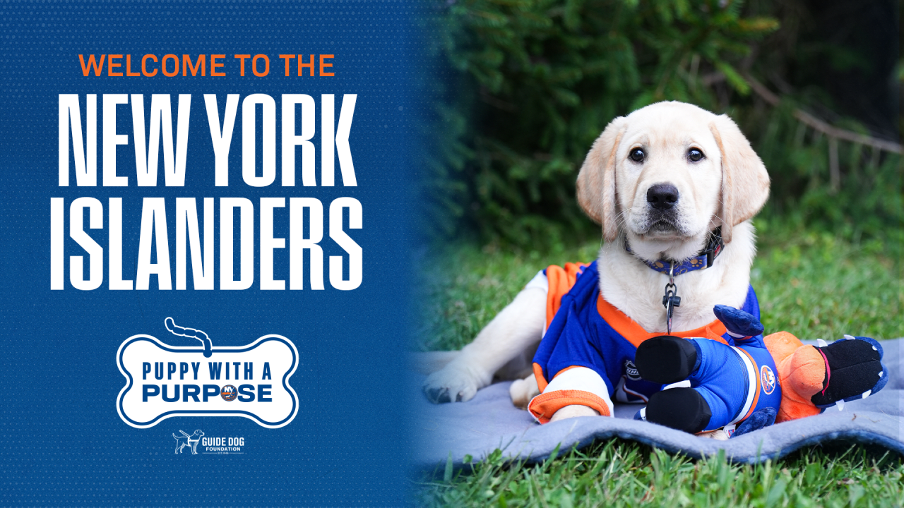 Islanders to Raise Fifth Puppy in Partnership with the Guide Dog ...