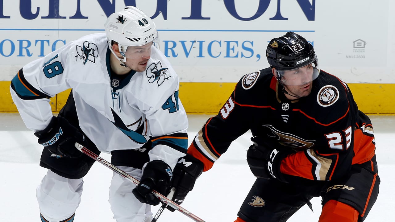 Aperçu de la série Ducks vs Sharks | LNH.com