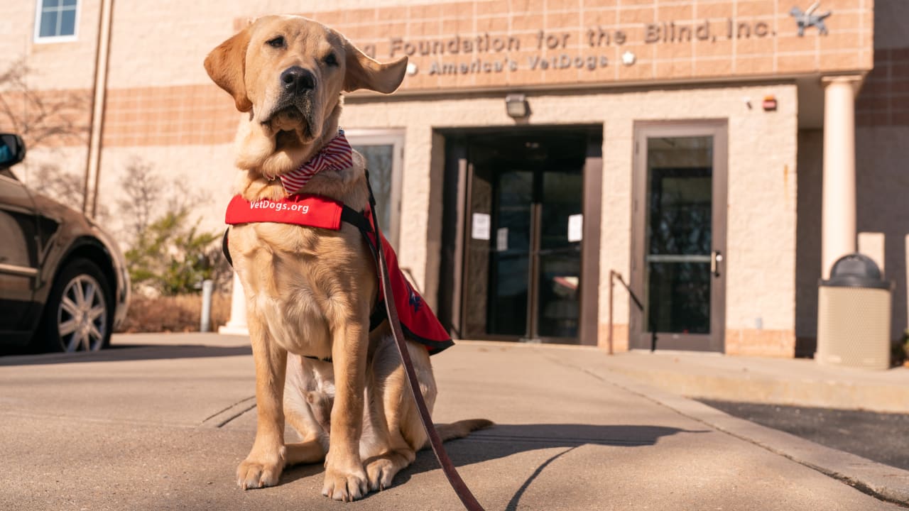 Captain's Trip to New York | Washington Capitals