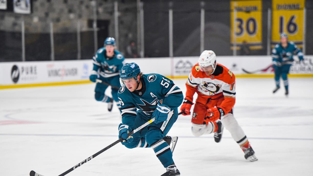 Sharks recall forward Ethan Cardwell from San Jose Barracuda | San Jose ...