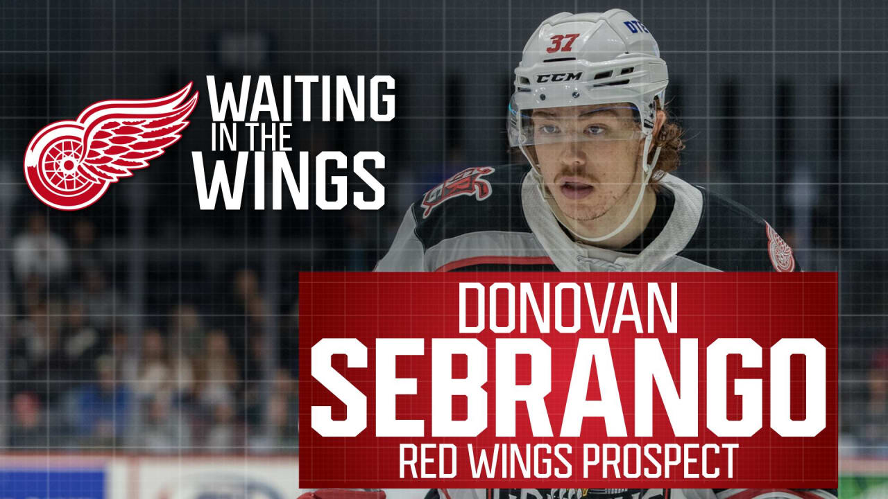 Waiting in the Wings | Sebrango | Detroit Red Wings