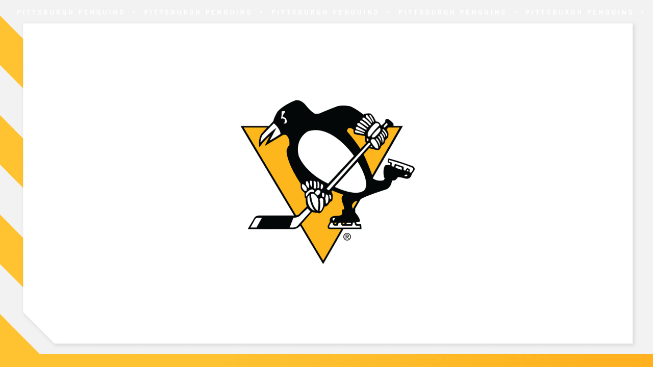 Pittsburgh Penguins Contribute $500,000 to Renovate Ammon Recreation ...