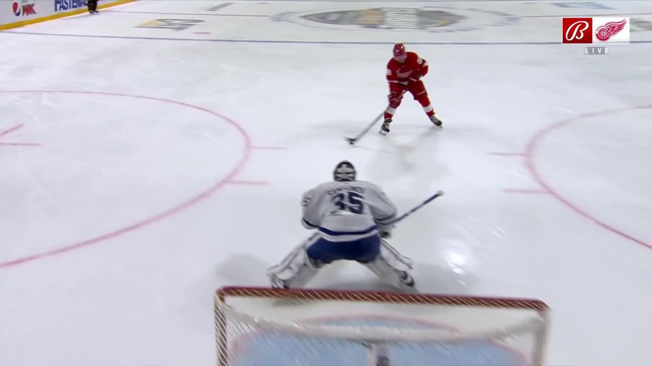 TOR@DET: Sprong scores goal against Maple Leafs | Detroit Red Wings