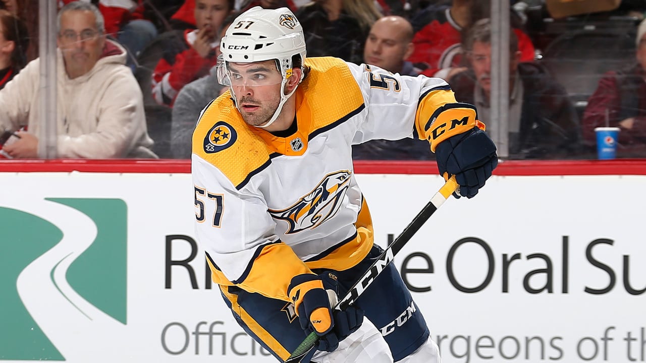 Nashville Predators season snapshot awards | NHL.com