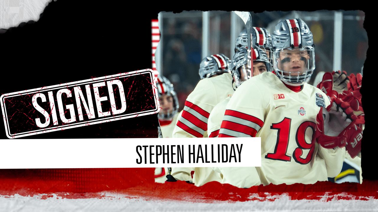 Ottawa Senators sign forward Stephen Halliday to entry-level contract ...
