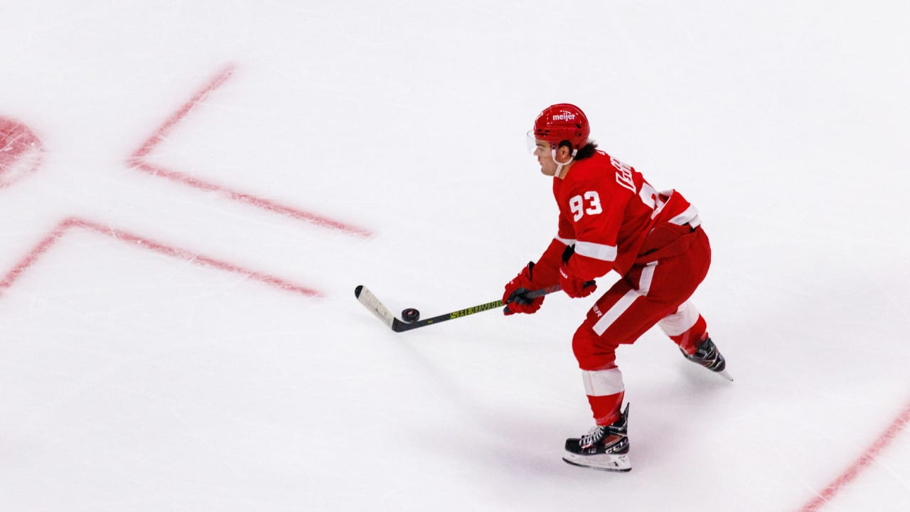 RECAP: Husso, Kostin both exit with injuries in Red Wings’ 4-3 loss to ...