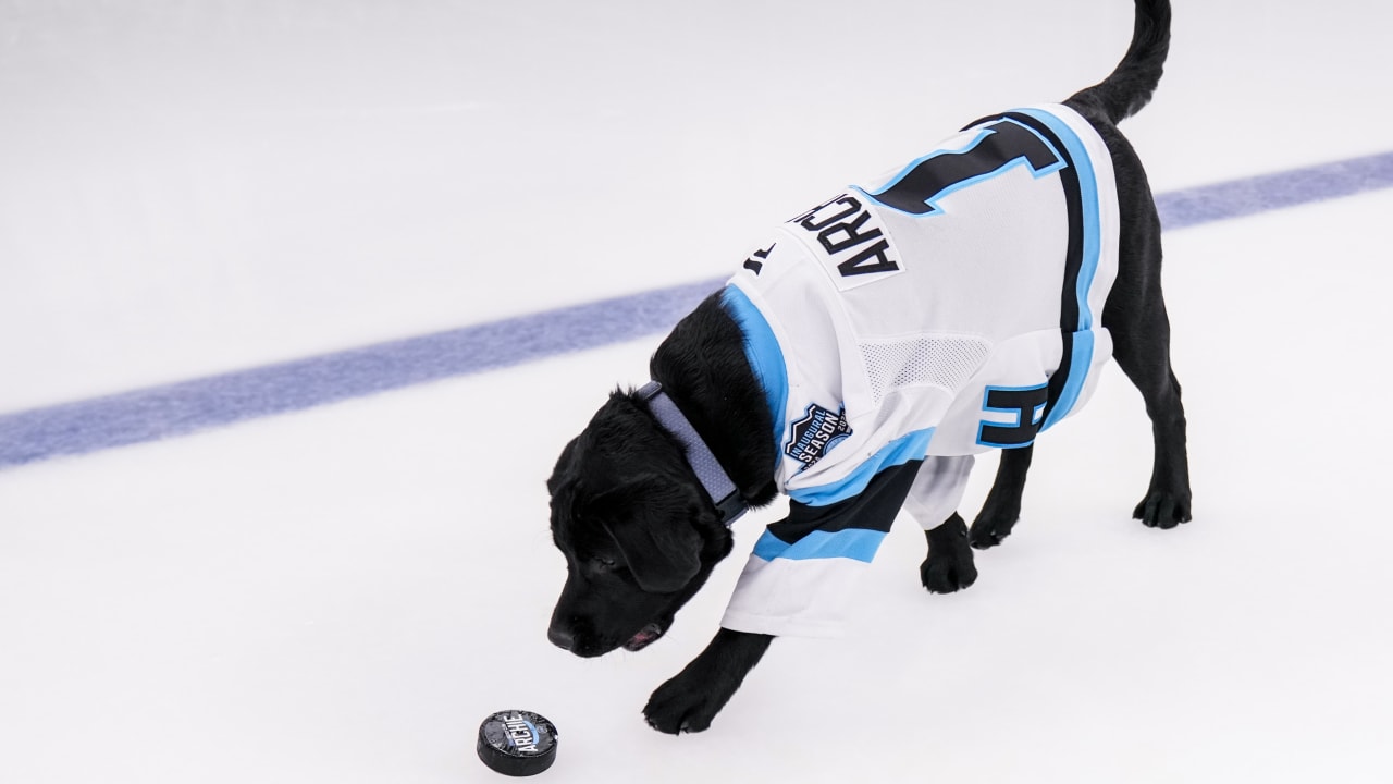 Celebrate Archie’s First Birthday with SEG! | Utah Mammoth