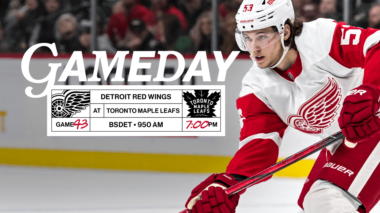 PREVIEW: After home win over Kings, Red Wings finish weekend back-to ...