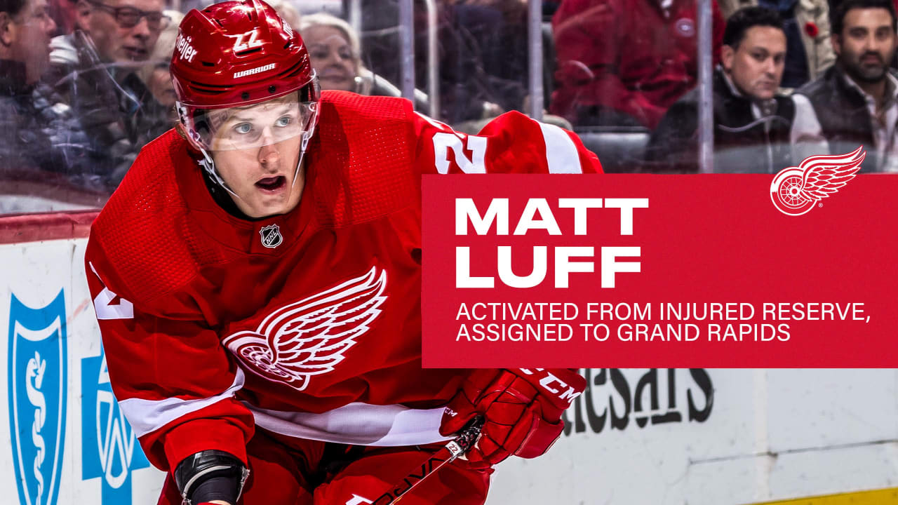 Red Wings activate Matt Luff from injured reserve | Detroit Red Wings