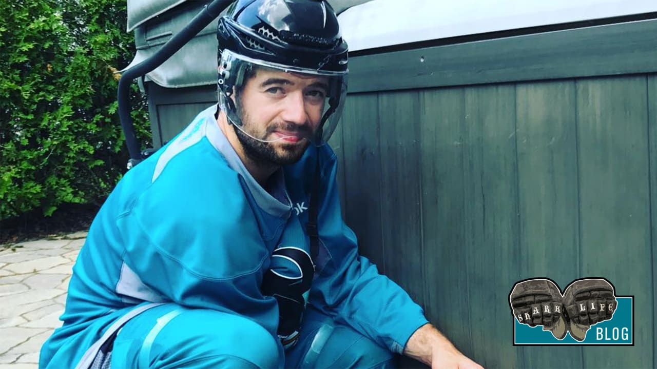 Shark Life: Bees! | San Jose Sharks