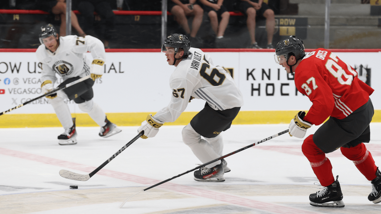 My VGK Development Camp Experience by Lucas Van Vliet July 2, 2024 ...