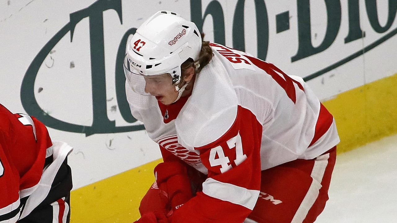 Western Conference picture in AHL comes into focus with player ...