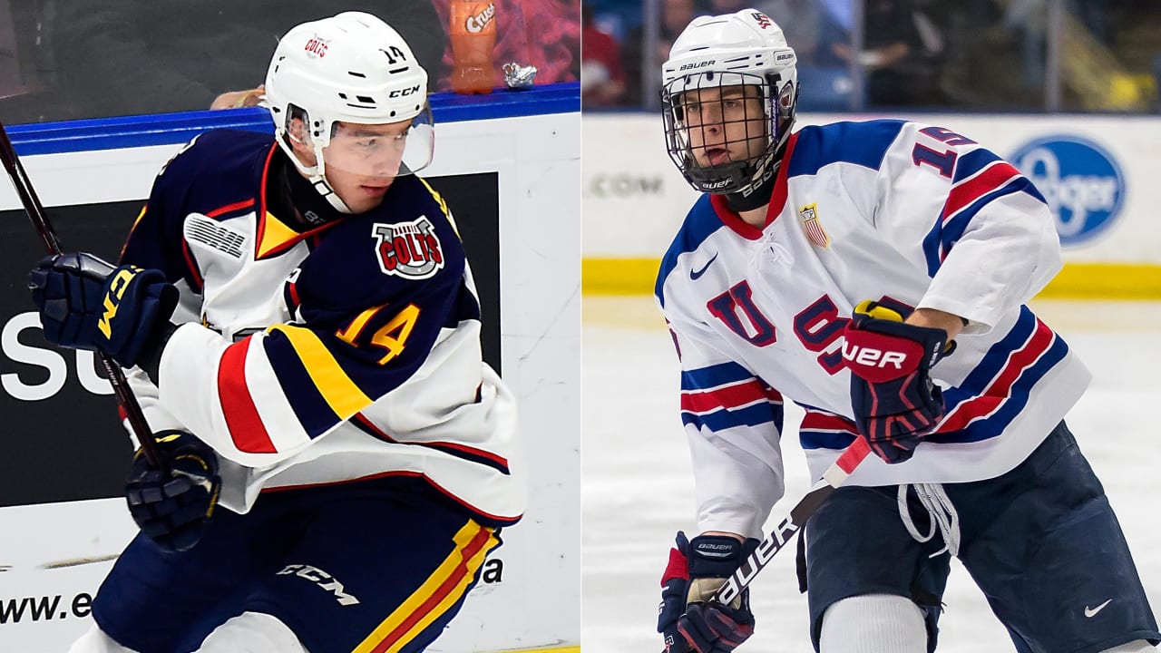 Metropolitan Division team draft needs | NHL.com