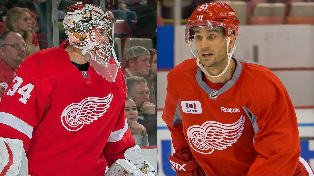 Aperçu de la saison : Red Wings de Detroit | LNH.com