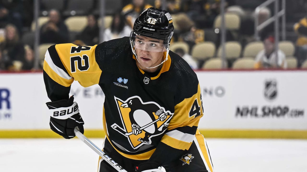 Hájek končí v AHL, jde do Pardubic | NHL.com/cs