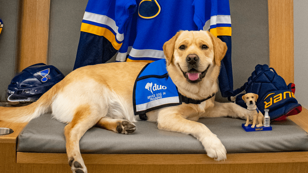 Blues sign Barclay as official Duo Dogs Ambassador | St. Louis Blues