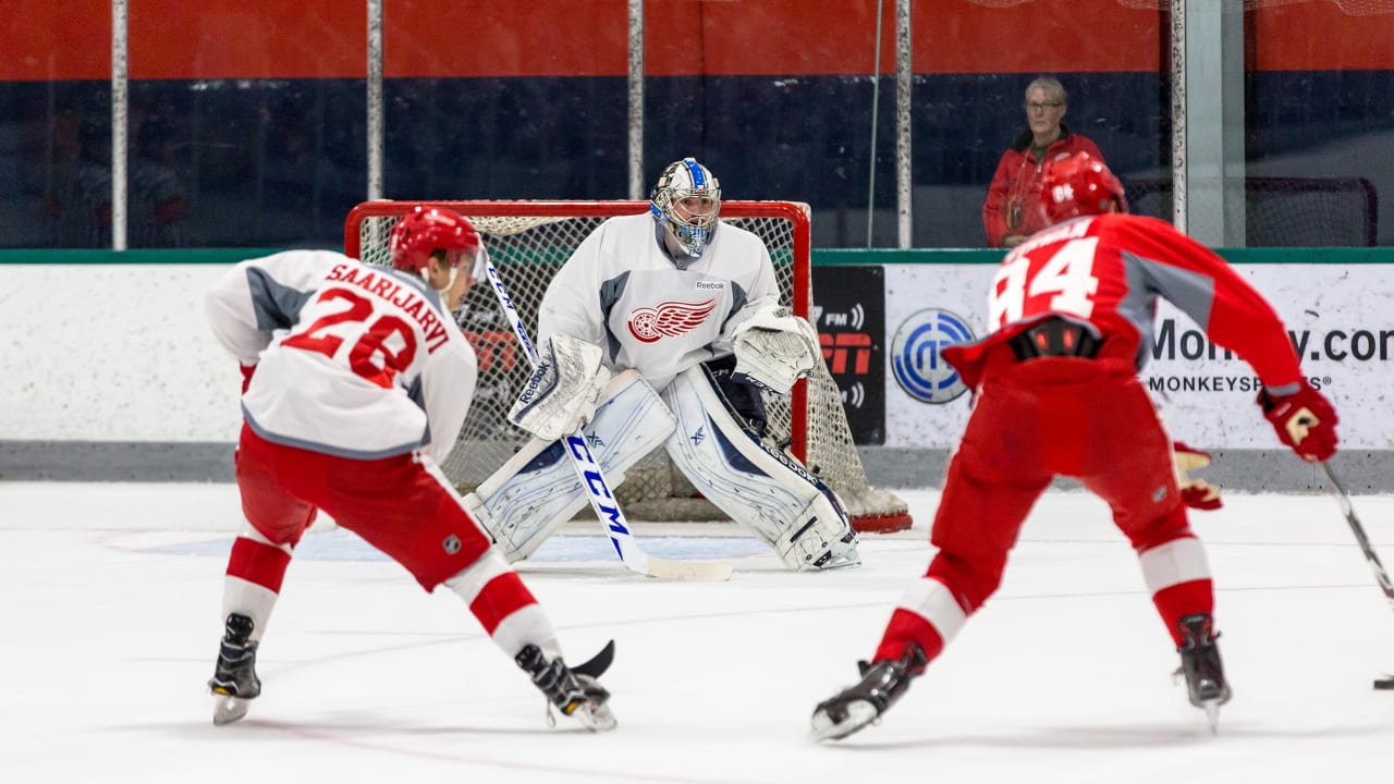 Detroit adds goaltender Matej Machovsky | Detroit Red Wings