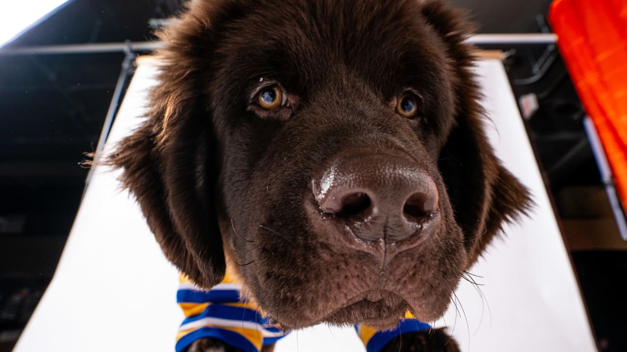 PHOTOS | Meet Mac | Buffalo Sabres
