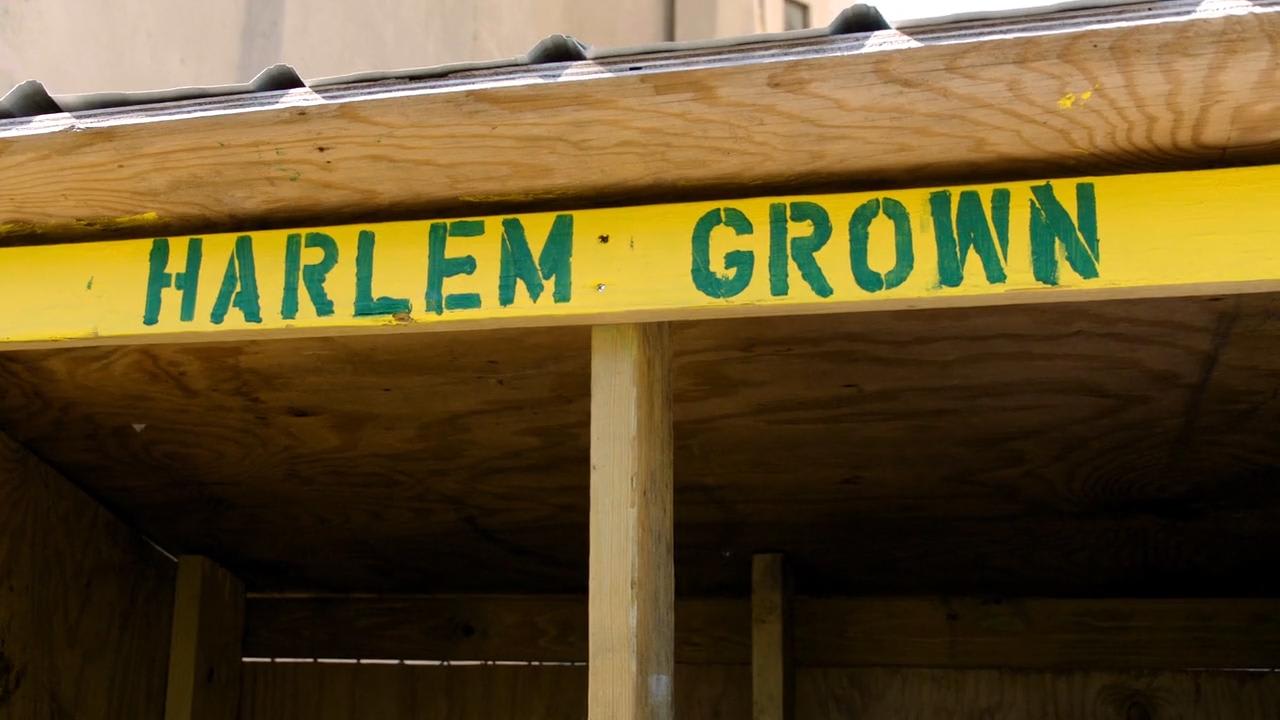 Stick Tap for Service finalist | NHL.com