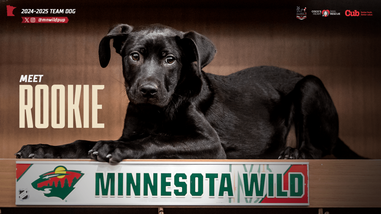 Minnesota Wild Welcomes Rescue Dog Rookie to the Team | Minnesota Wild