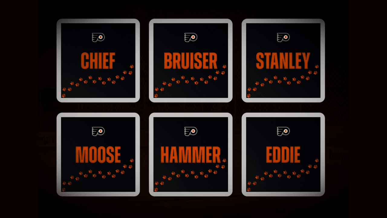 Flyers Alumni, Team Foster, and America's Vetdogs to Provide a Future ...