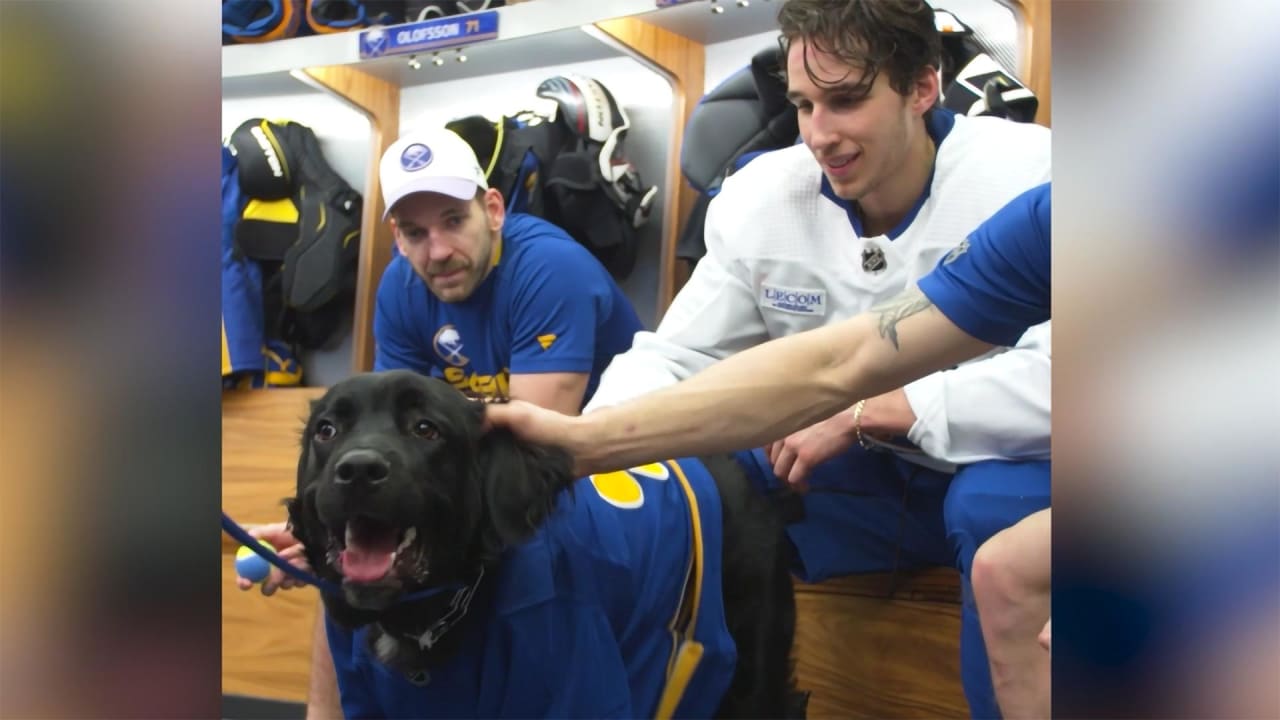 Sabres meet Rick the team dog | Buffalo Sabres