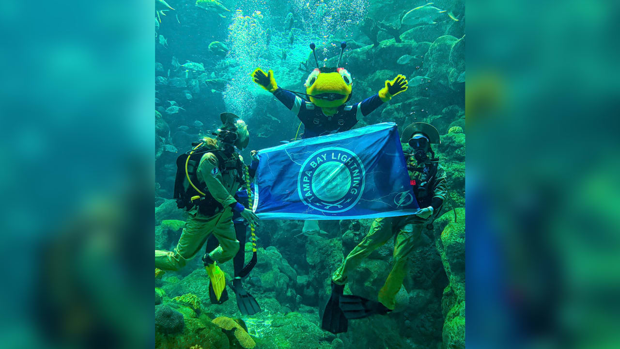 ThunderBug scuba dives to celebrate Stadium Series | NHL.com