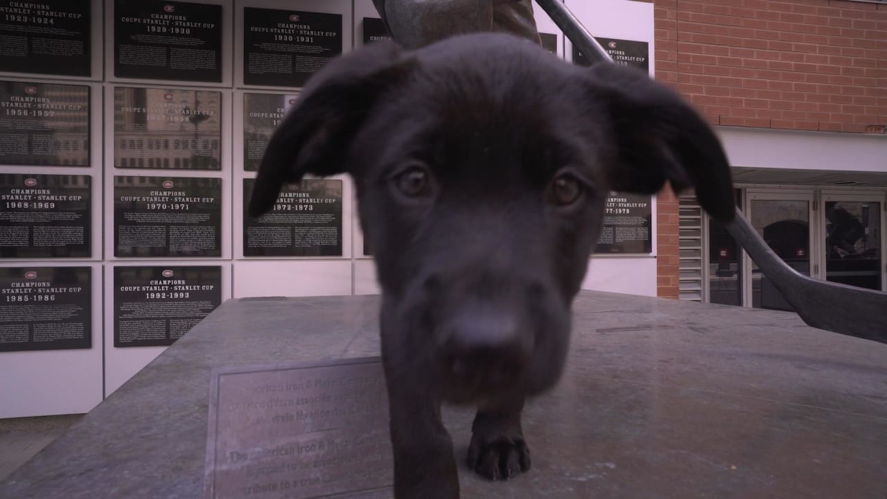 Pup playoff predictions: MTL-TOR | Montréal Canadiens