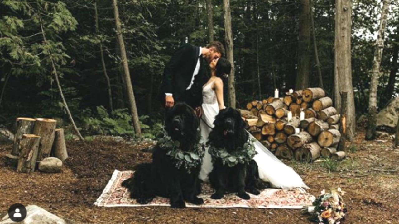 Murray's big dogs serve as groomsmen as he elopes with fiancee | NHL.com