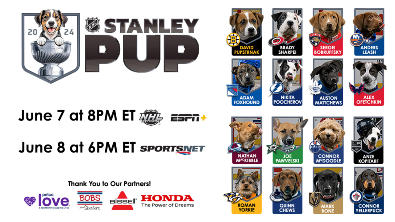 ‘Stanley Pup’ rescue dog competition debuts this weekend | NHL.com
