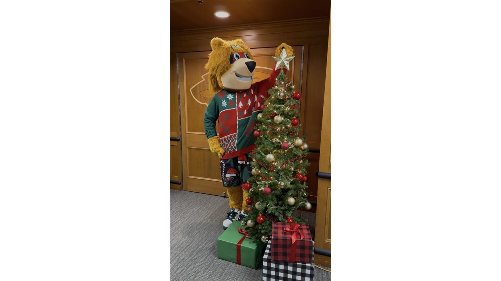 2025 Winter Skating Party | Minnesota Wild